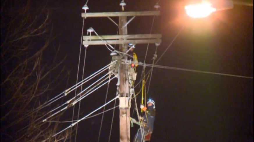 VDOT suspends contract with tree trimmers after downed line closes 264 ...