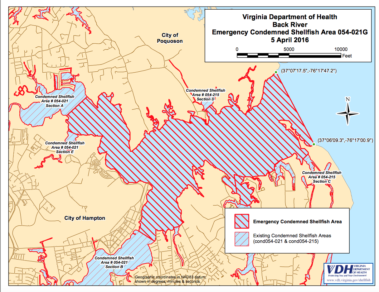 Back River closed to shellfish harvesting due to sewer line leak ...