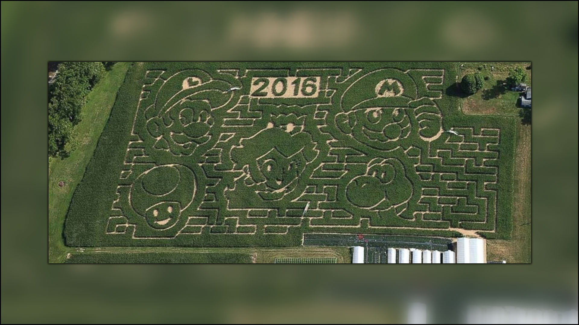 New York farm creates Super Mario Bros. corn maze | 13newsnow.com