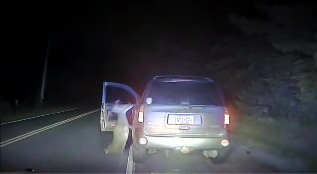 Truck hits deer, deer attacks driver | kvue.com