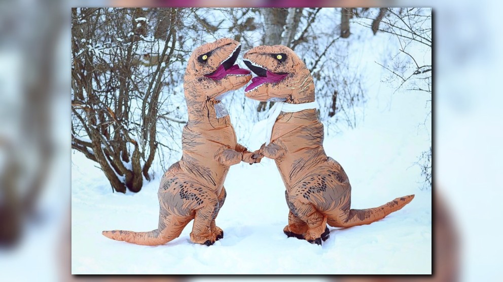 Photographers prove 'Love Isn't Extinct' with T-Rex engagement shoot ...